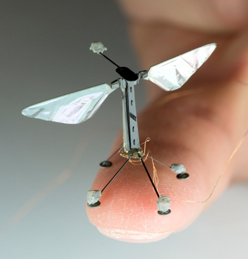 RoboBee, se comporta como un insecto