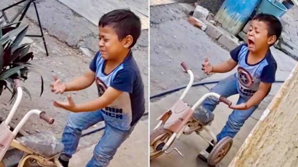 Viral En Tik Tok Niño Cantando ‘castillos De Amanda Miguel