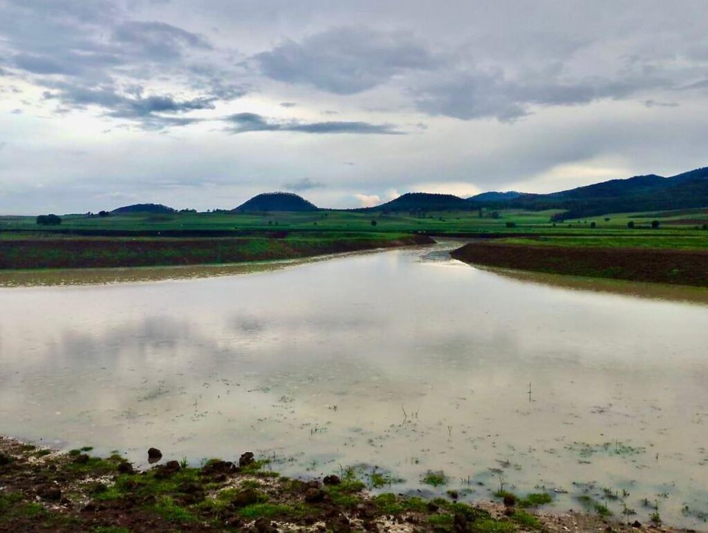 Logran renacimiento de la Laguna Zinciro en Erongarícuaro