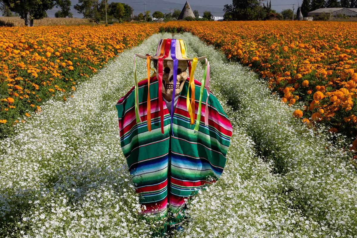 Asiste al Festival de las Flores de Copándaro 2025