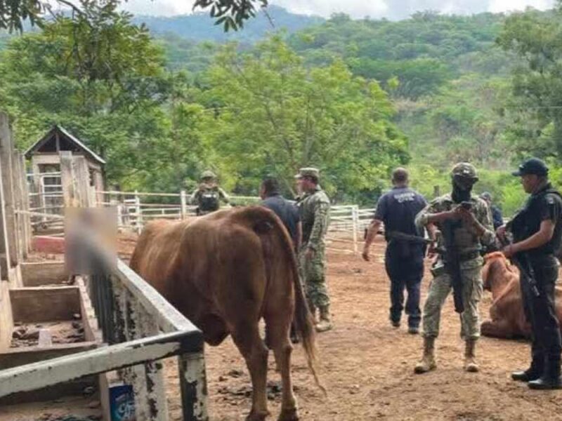 Nota roja hoy: noticias al momento en Michoacán, Mexico